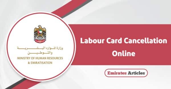 SEWA Bill Payment Methods: Sharjah Online Guide 2026